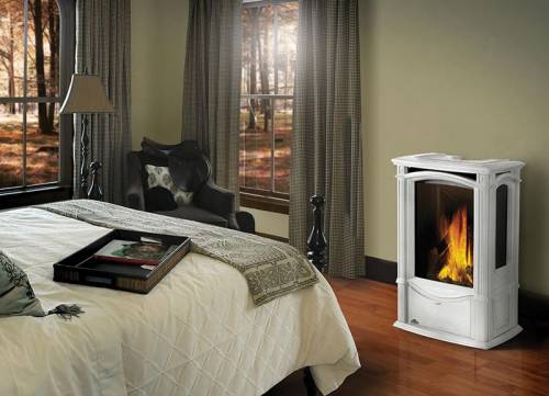 Napoleon Castlemore Gas Stove Photo – Fireplacepro
