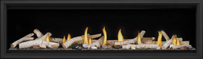 Napoleon Vector LV62 Linear Direct Vent Gas Fireplace - Horizontal ...
