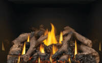 Napoleon Oakville X4 Gas Fireplace Insert - Napoleon Model #GDIX4N