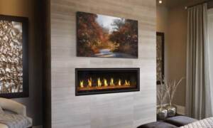 Napoleon Gas Fireplaces - Shop Napoleon Hearth Products at FireplacePro