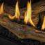 Napoleon Ascent Linear Premium BLX56 Direct Vent Gas Fireplace ...